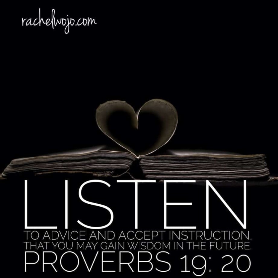Proverbs 13-20 Bible Reading Challenge Summary - Rachel Wojo