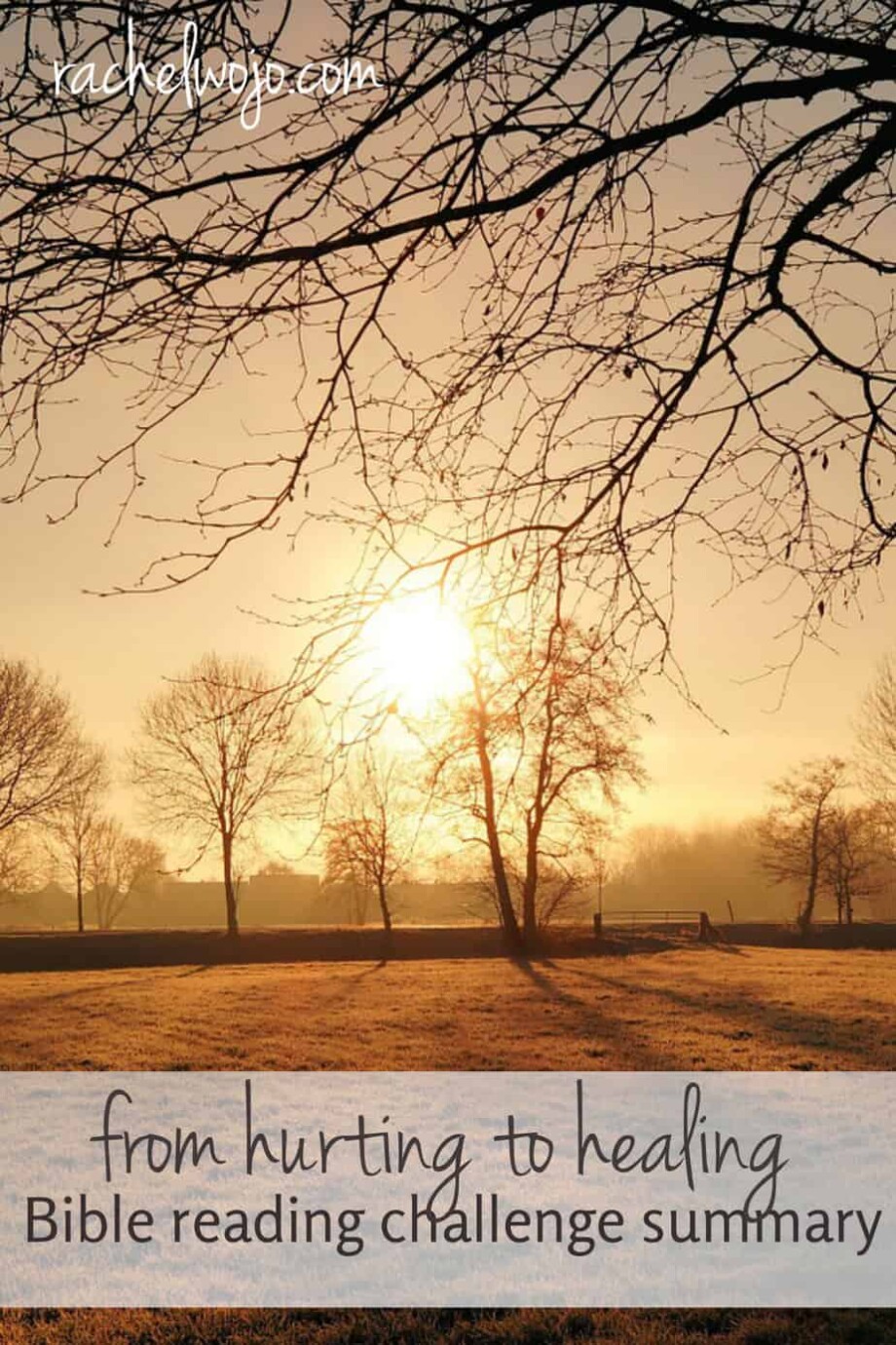 From Hurting to Healing Bible Reading Challenge Week 4 Summary - Rachel ...