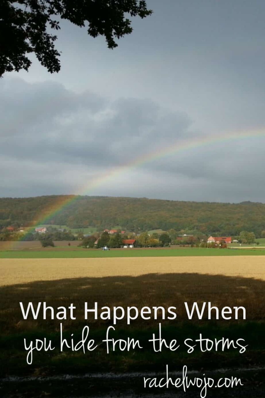 What Happens When You Hide from the Storms - Rachel Wojo