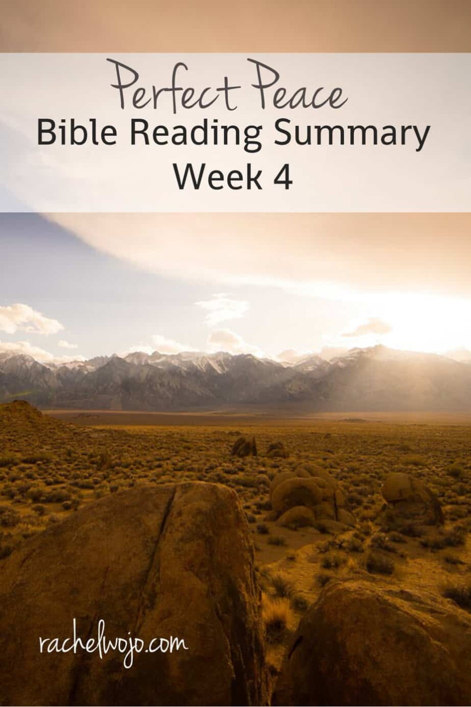 Perfect Peace Bible Reading Summary Week 4 - Rachel Wojo