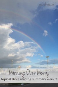 Winning Over Worry Bible Reading Week 2 Summary - Rachel Wojo