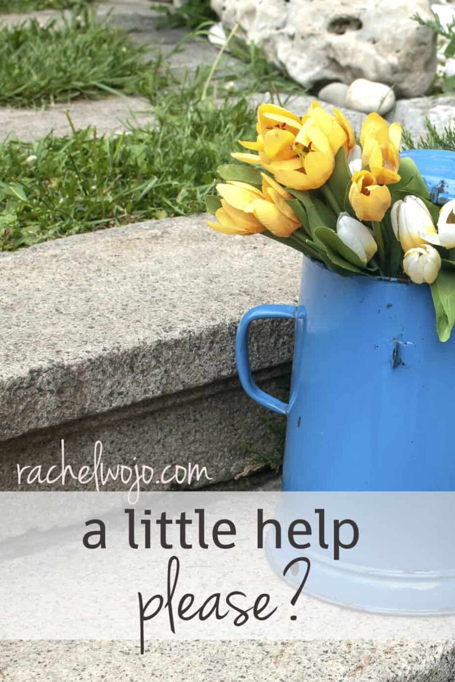 A Little Help Please - Rachel Wojo