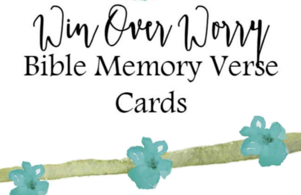Win Over Worry Bible Memory Verse Cards - Rachel Wojo