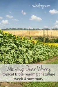 Winning Over Worry Bible Reading Week 4 Summary - Rachel Wojo