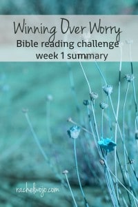 Winning Over Worry Bible Reading Summary Week 1 - Rachel Wojo