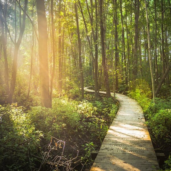7 Ways to Pray Against Worry - RachelWojo.com