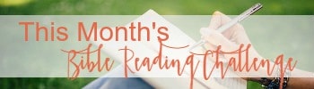 sidebar bible reading challenge - Rachel Wojo