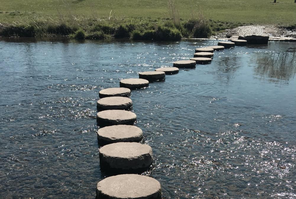 One More Step Bible Reading Challenge - Rachel Wojo