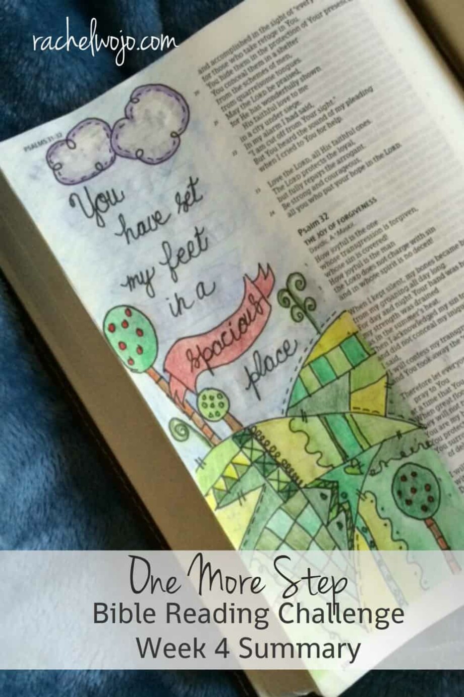 One More Step Bible Reading Summary Week 4 - Rachel Wojo