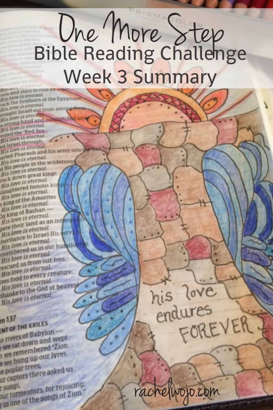 One More Step Bible Reading Challenge Summary Week 3 - Rachel Wojo