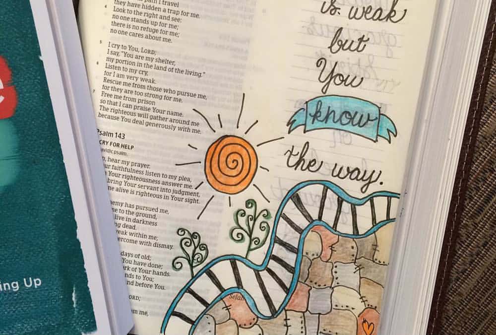 One More Step Bible Reading Summary Week 2 - Rachel Wojo