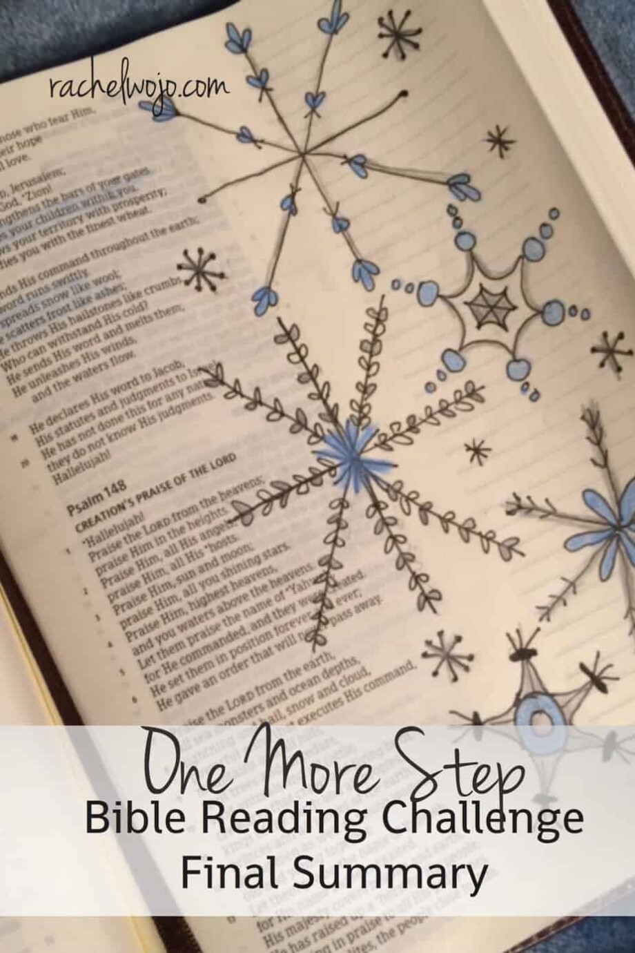 One More Step Bible Reading Final Summary - Rachel Wojo