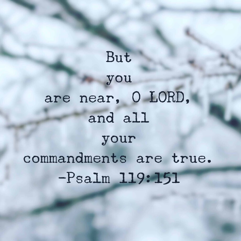 In His Presence Bible Reading Summary Week 3 - Rachel Wojo