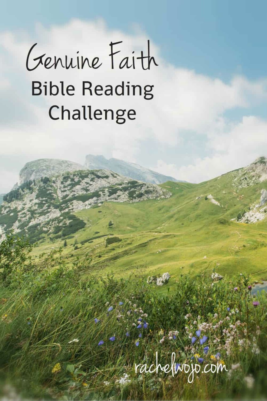 Genuine Faith Bible Reading Challenge - Rachel Wojo