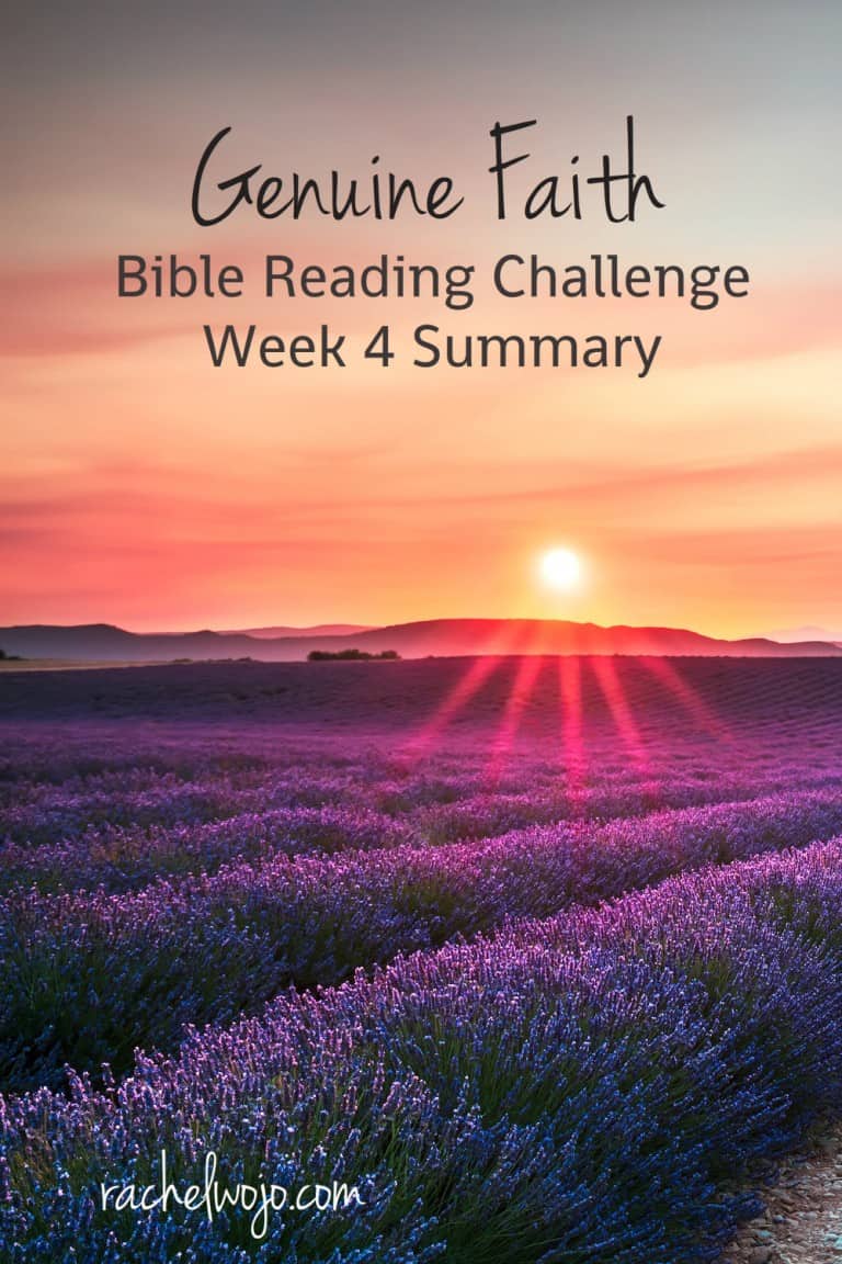 Genuine Faith Bible Reading Challenge Summary Week 4 - Rachel Wojo