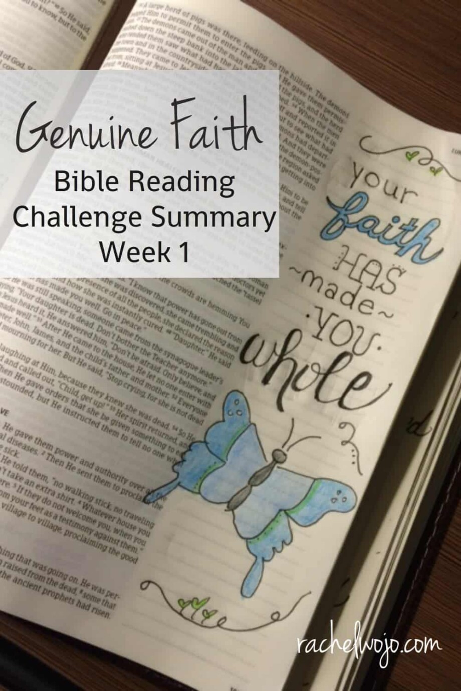 Genuine Faith Bible Reading Challenge Summary Week 1 - Rachel Wojo