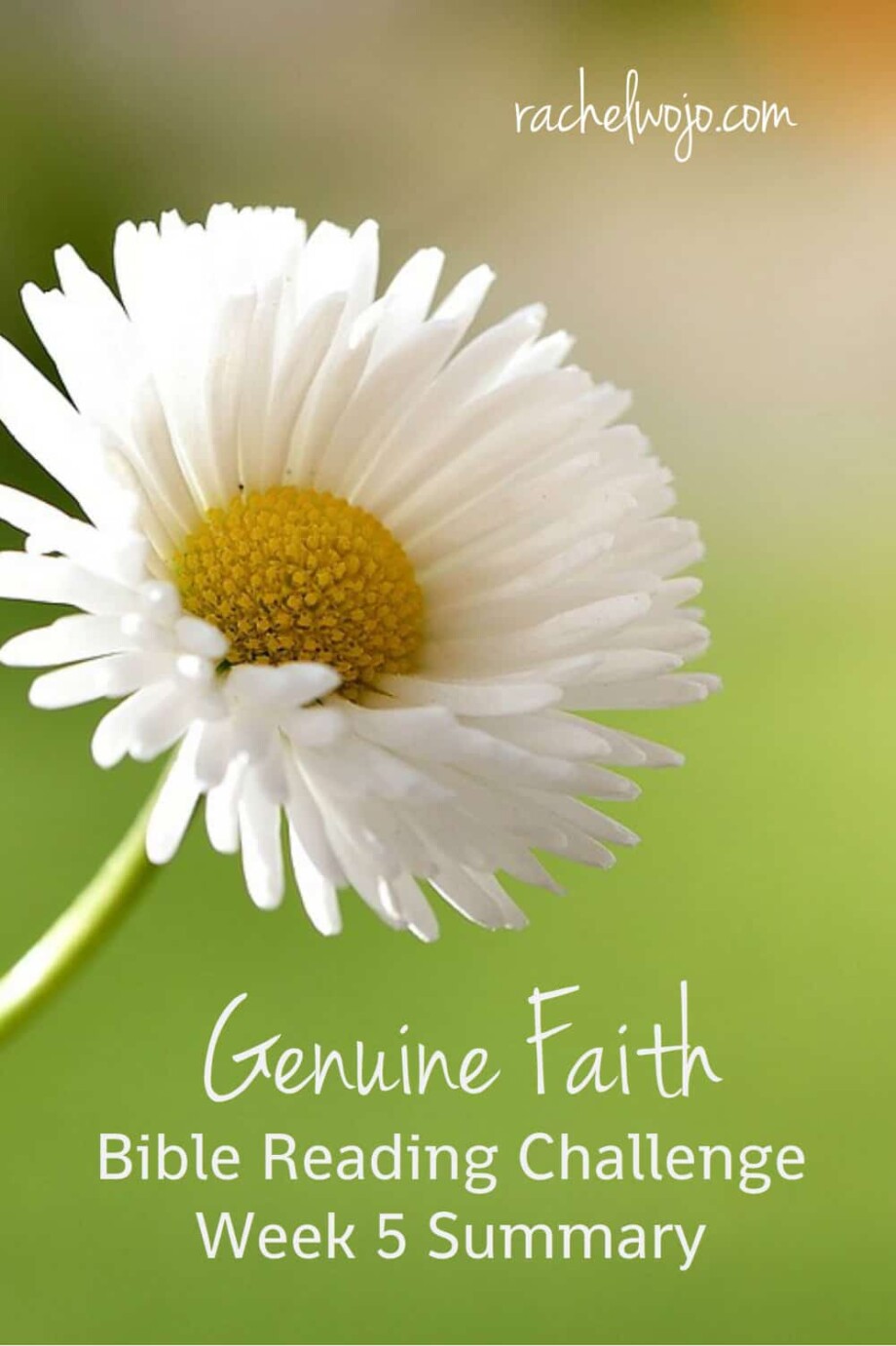 Genuine Faith Bible Reading Challenge Week 5 Summary - Rachel Wojo