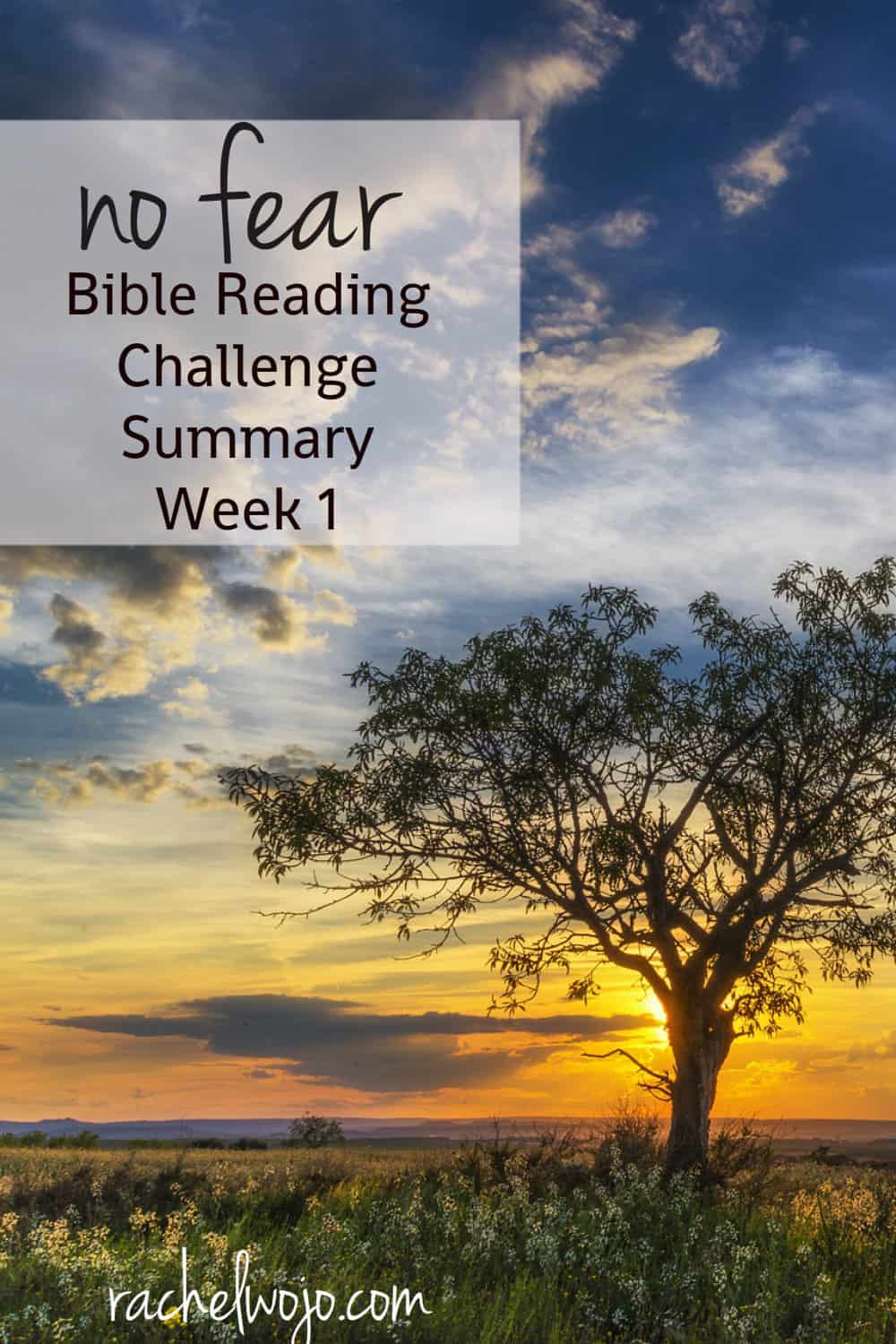 No Fear Bible Reading Challenge Summary Week 1 - Rachel Wojo