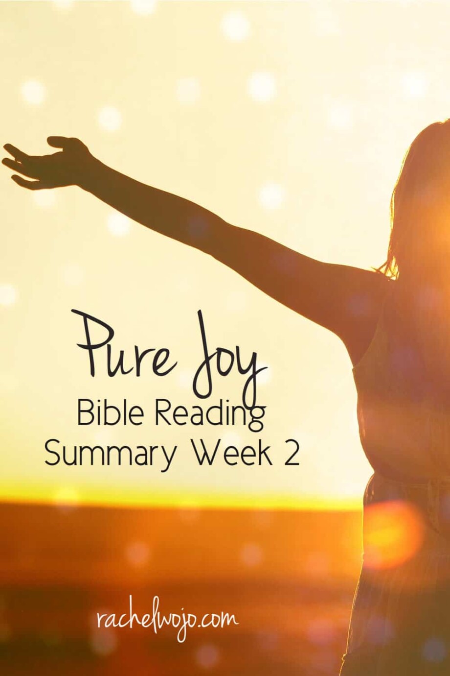 Pure Joy Bible Reading Summary Week 2 - Rachel Wojo