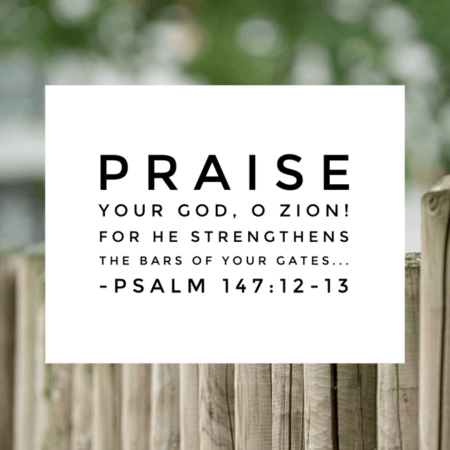 Praise Him Anyway Bible Reading Summary Week 3 - Rachel Wojo