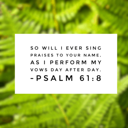 Praise Him Anyway Bible Reading Summary Week 4 - Rachel Wojo