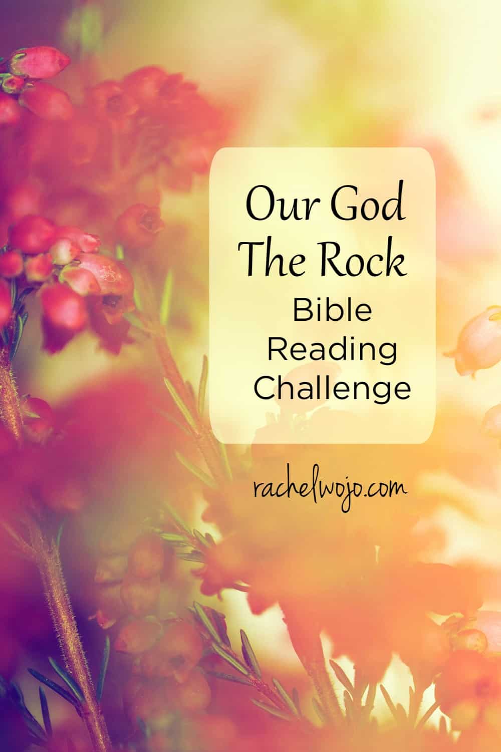 Our God the Rock Bible Reading Challenge - Rachel Wojo