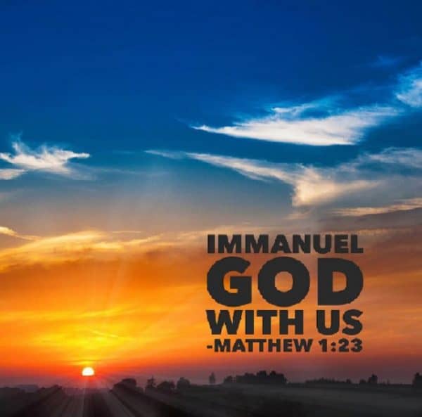 Never Alone Bible Reading Summary Week 1 - Rachel Wojo