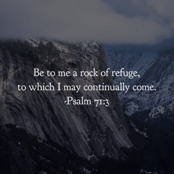 Our God the Rock Bible Reading Summary Week 4 - Rachel Wojo