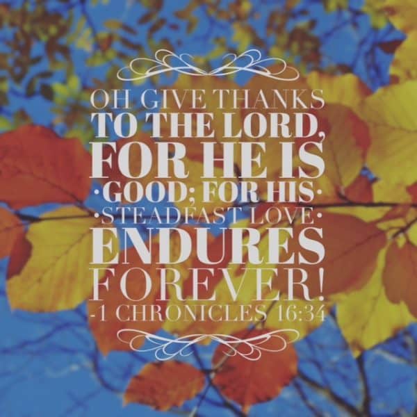 With Thanksgiving Bible Reading Summary Week 4 - Rachel Wojo