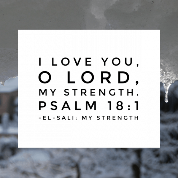 Names of God Bible Reading Summary Week 1 - Rachel Wojo