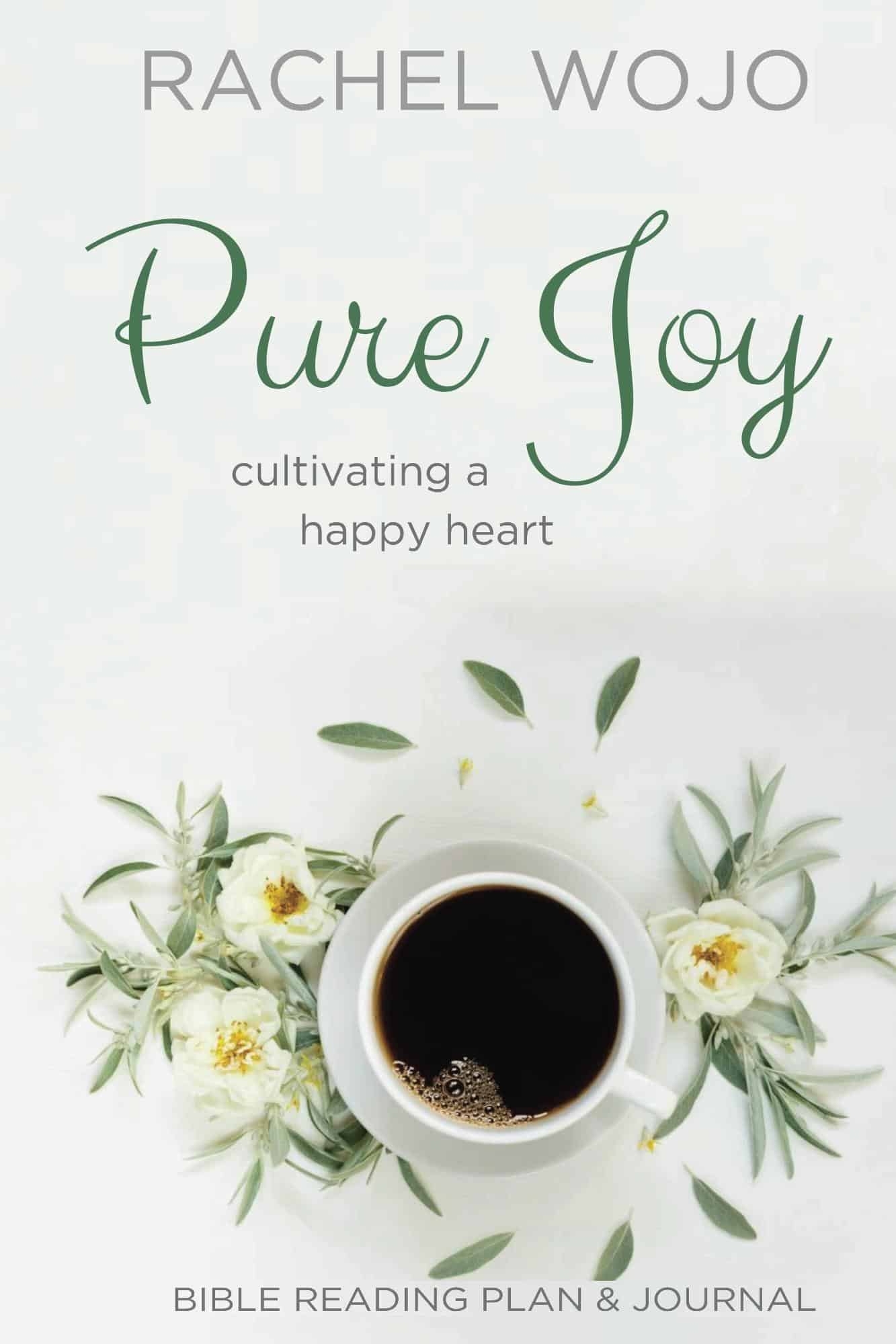 Pure Joy Bible Reading Plan and Challenge - Rachel Wojo