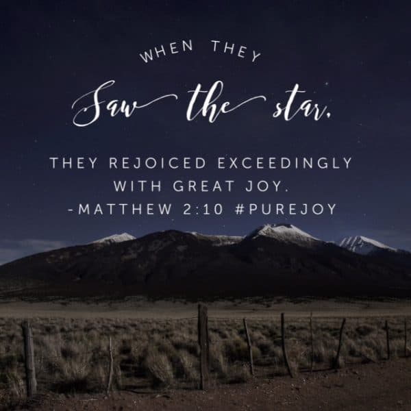 Pure Joy Bible Reading Summary Week 2 - Rachel Wojo