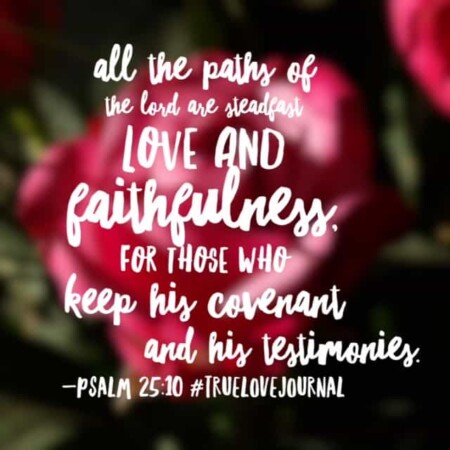 True Love Bible Reading Summary Week 2 - Rachel Wojo