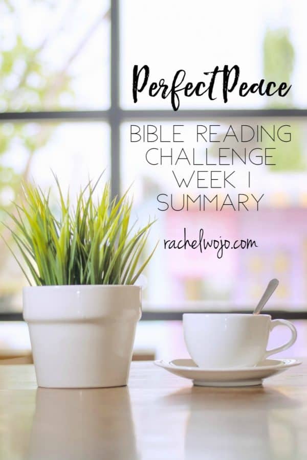 Perfect Peace Bible Reading Summary Week 1 - Rachel Wojo