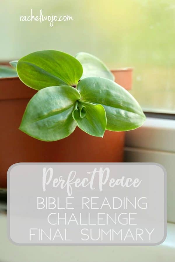 Perfect Peace Bible Reading Challenge Final Summary - Rachel Wojo