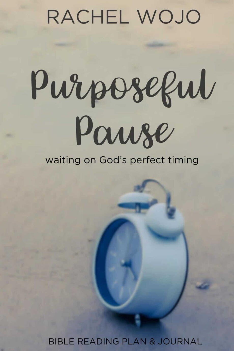 Purposeful Pause Bible Reading Plan & Journal Challenge - Rachel Wojo
