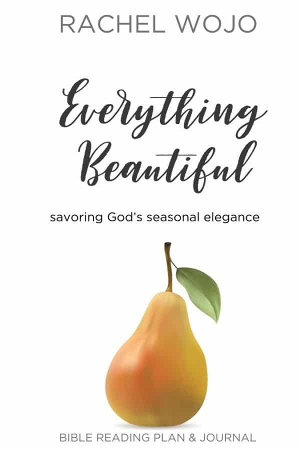 Everything Beautiful Bible Reading Plan & Journal Challenge - Rachel Wojo