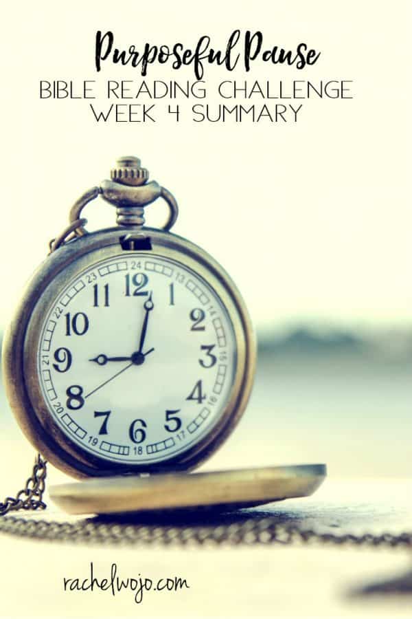 Purposeful Pause Bible Reading Challenge Week 4 Summary - Rachel Wojo