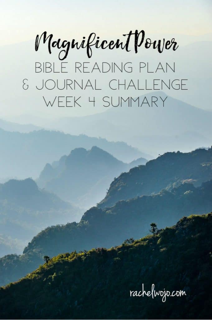 Magnificent Power Bible Reading Challenge Week 4 Summary - Rachel Wojo
