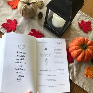 With Thanks Bible Reading Challenge Week 2 Summary - RachelWojo.com