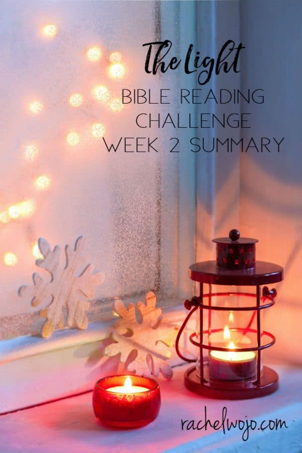 The Light Bible Reading Challenge Week 2 Summary - Rachel Wojo
