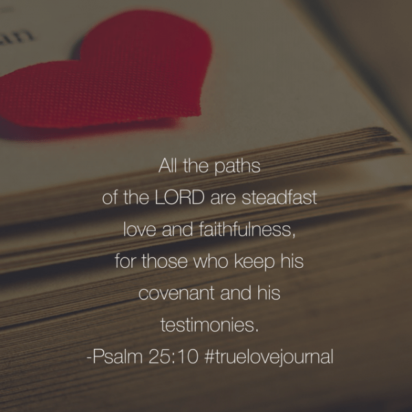 February 2018 Bible Reading Plan Week 2 Summary - Rachel Wojo