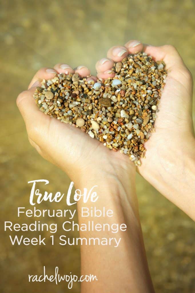 February 2018 Bible Reading Plan Week 1 Summary - Rachel Wojo