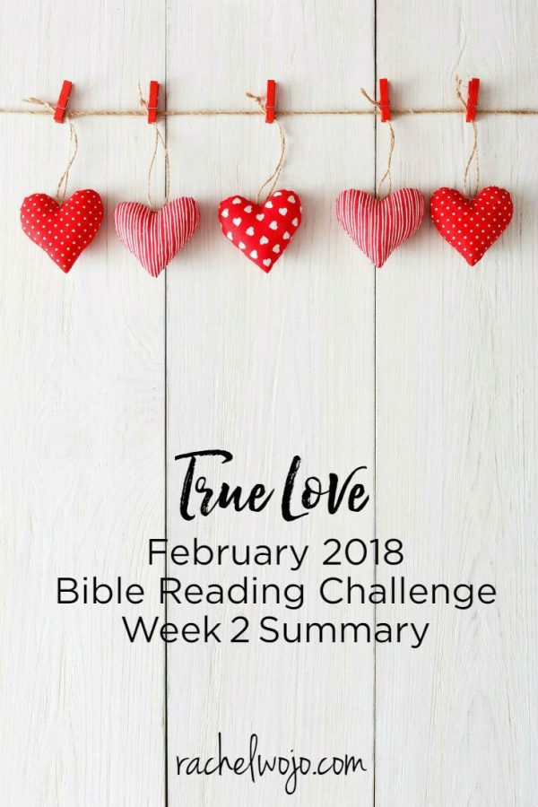 February 2018 Bible Reading Plan Week 2 Summary - Rachel Wojo