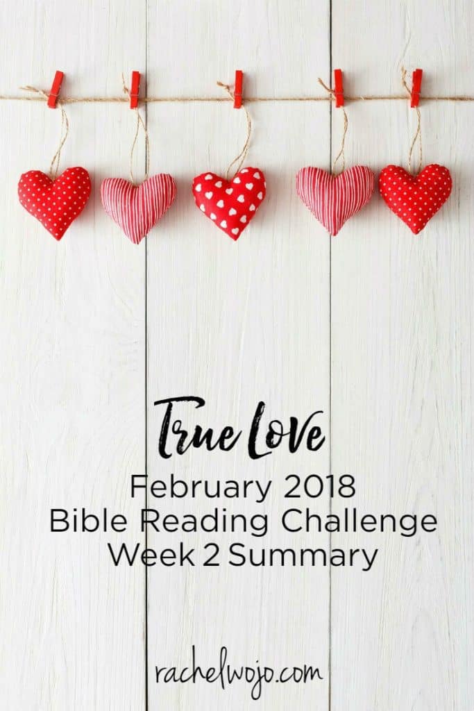 February 2018 Bible Reading Plan Week 2 Summary - Rachel Wojo