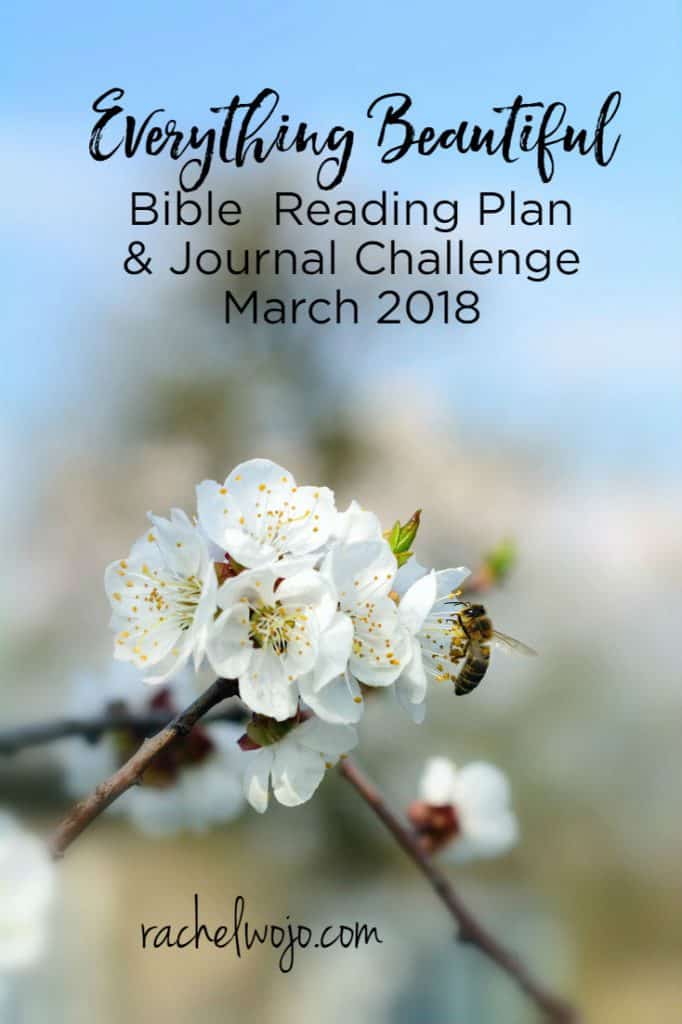 March 2018 Bible Reading Plan and Journal Challenge - Rachel Wojo
