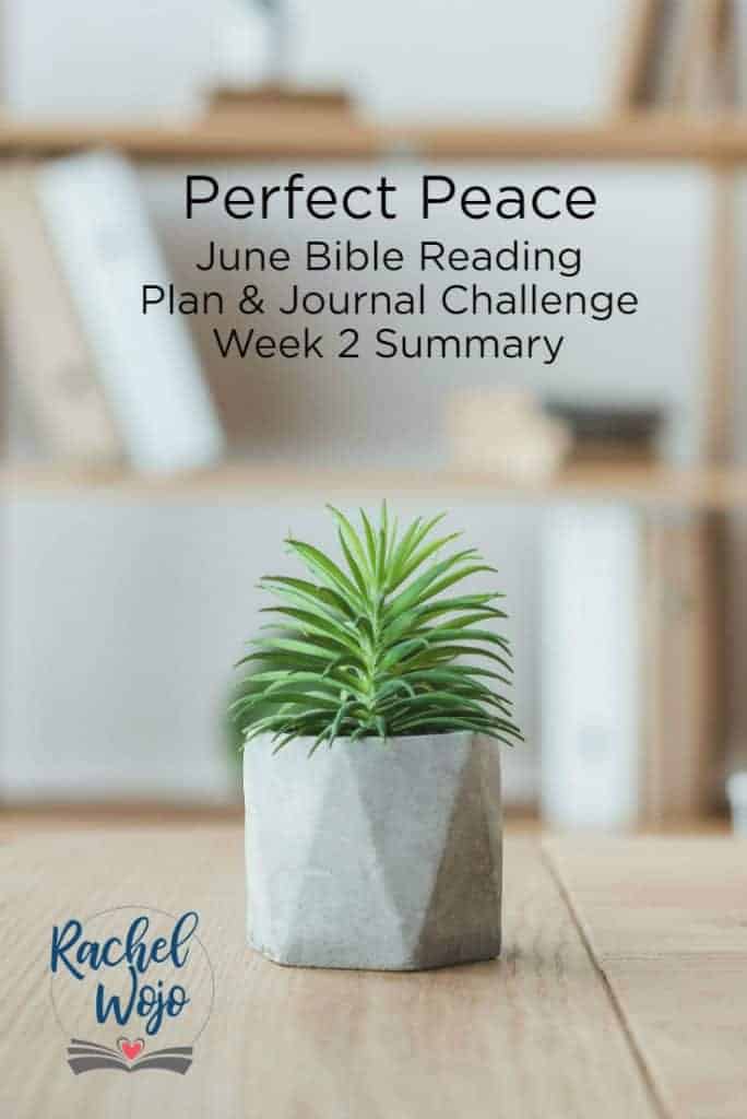 Perfect Peace June Bible Reading Challenge Week 2 Summary - Rachel Wojo