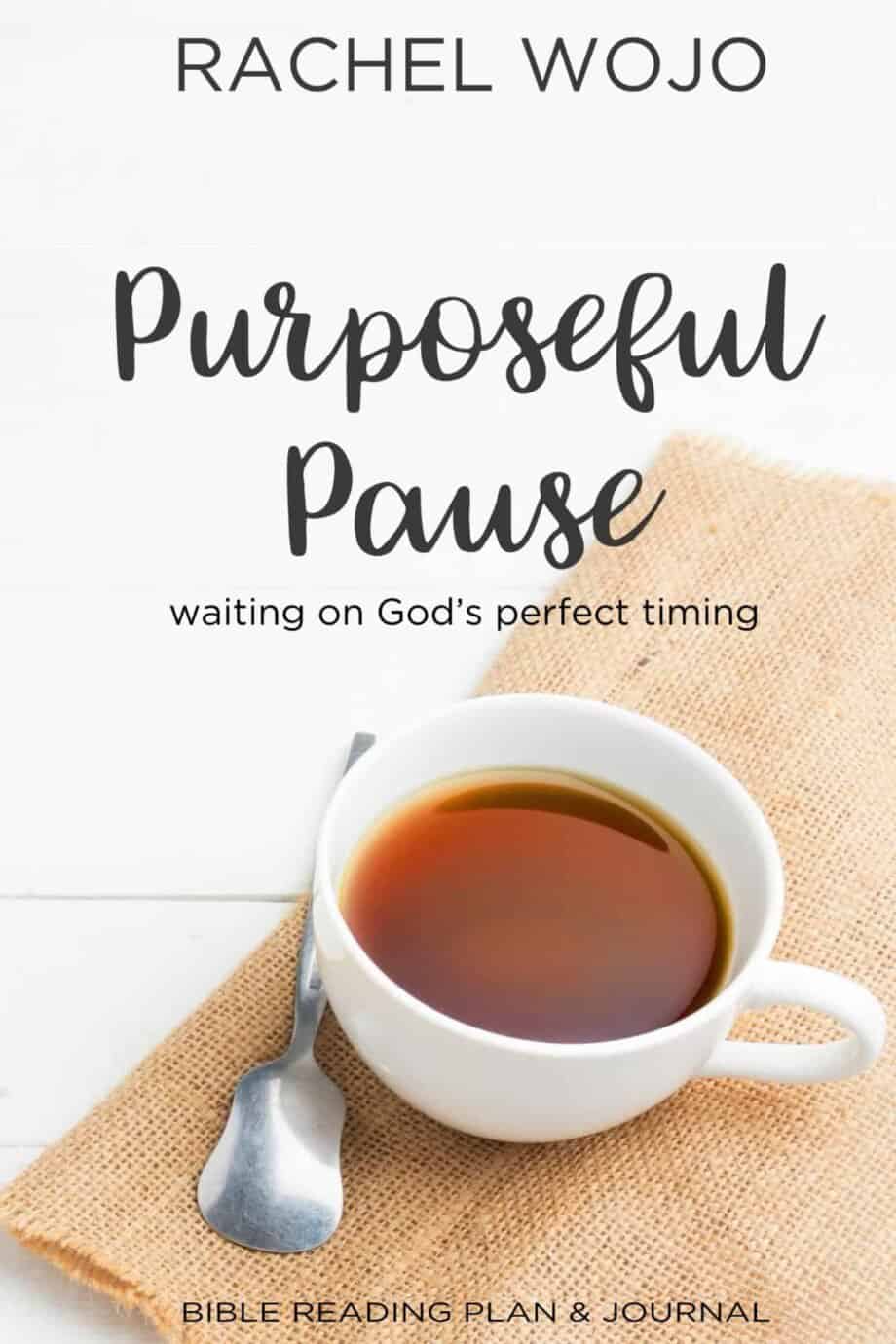 Purposeful Pause Bible Reading Plan - Rachel Wojo