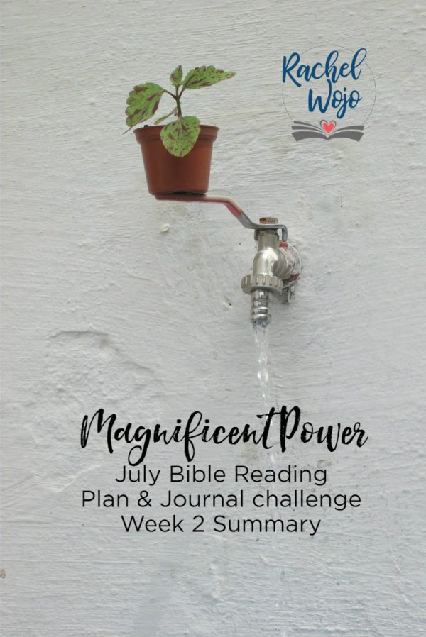 Magnificent Power July Bible Reading Challenge Week 2 Summary - Rachel Wojo