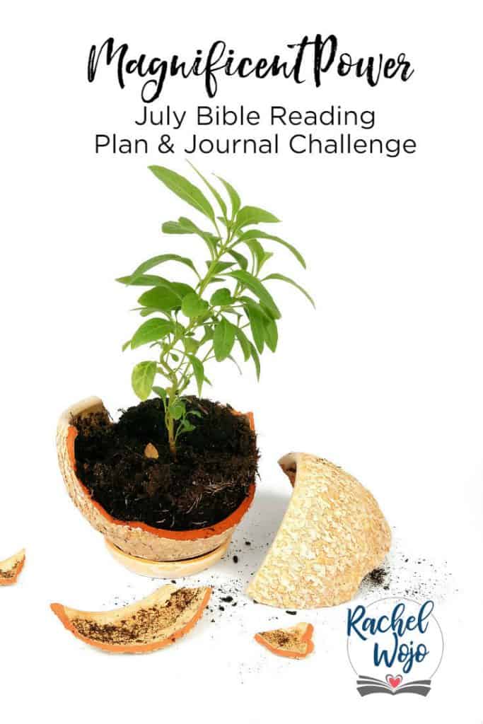Magnificent Power Bible Reading Challenge Week 4 Summary - Rachel Wojo